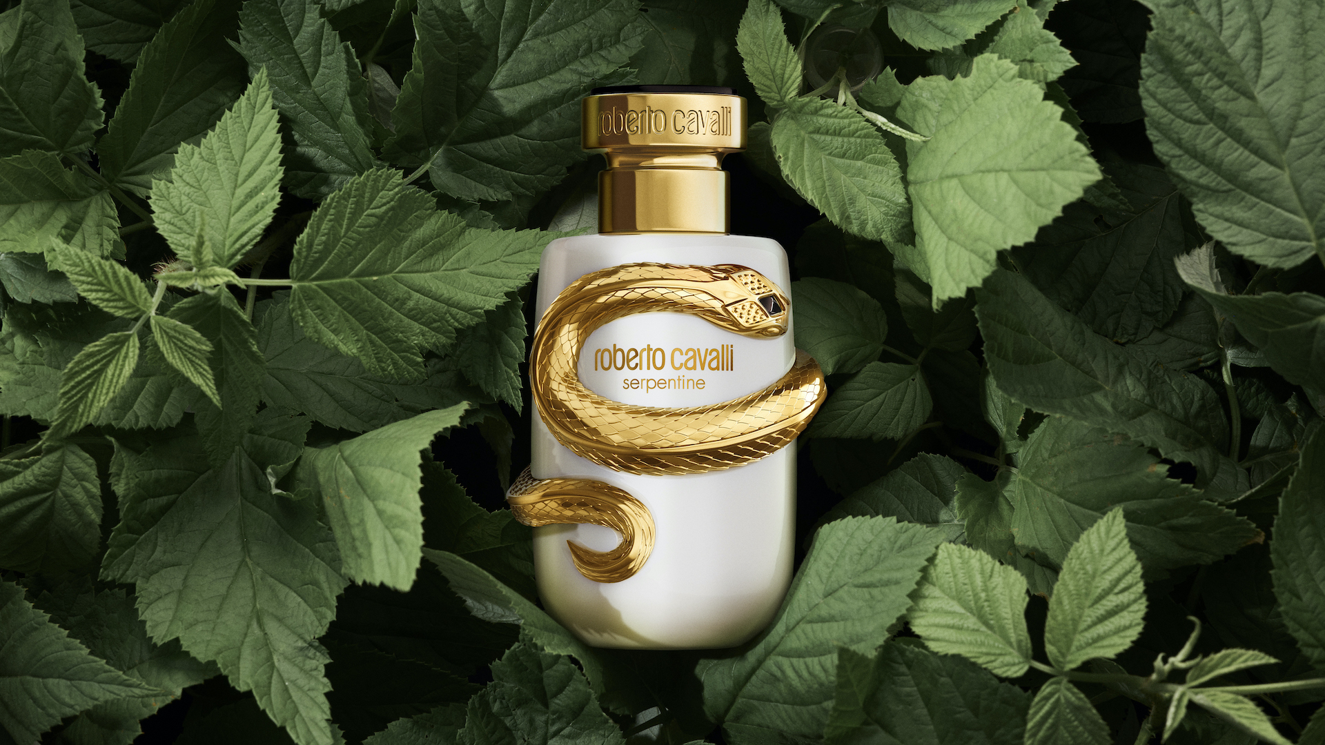 Druhá kůže: Roberto Cavalli přináší parfém Serpentine | Luxury Guide